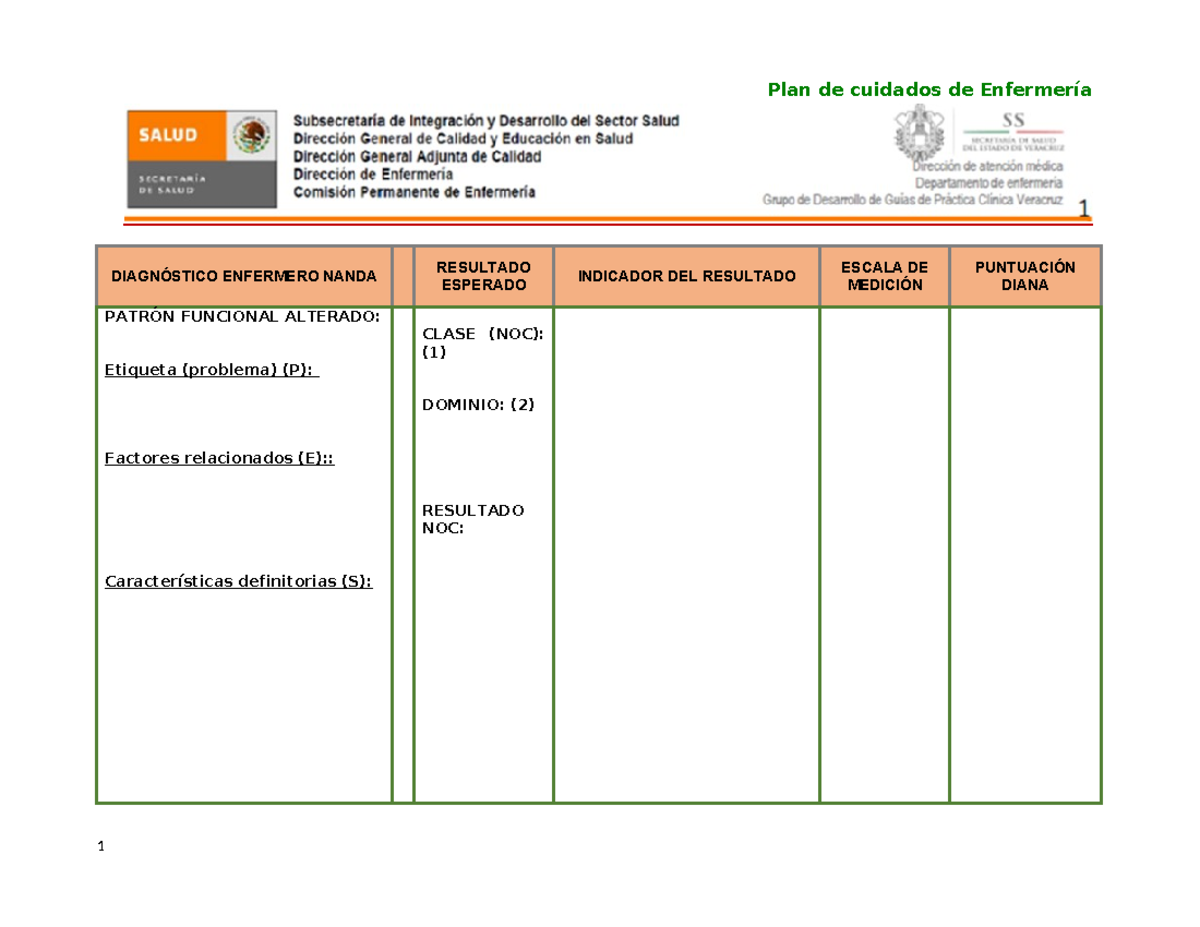 Formato Place 2022 (1) - Plan de cuidados de Enfermería DIAGNÓSTICO ...