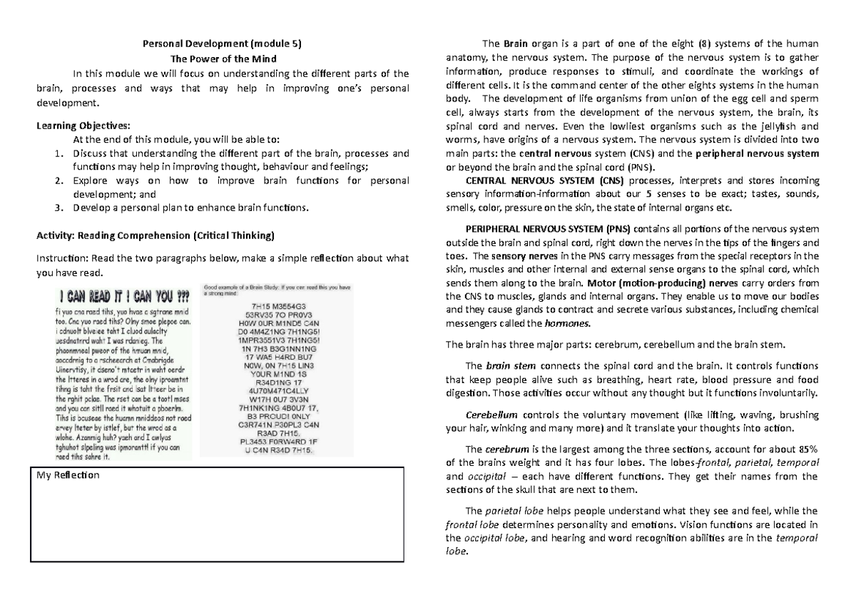 PER DEV Module 5 - The parts and function of the brain and how to ...