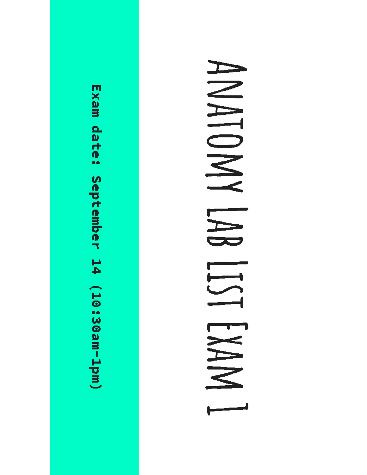 Anatomy Lab List Exam1 - Lab list - Anatomy Lab List Exam 1 Exam date ...