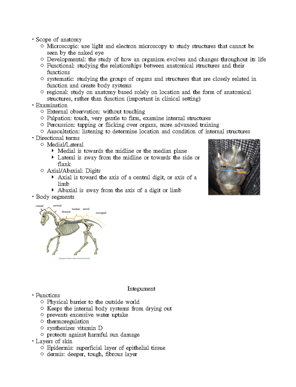 Final exam 1 - ·Scope of anatomy Microscopic: use light and electron ...
