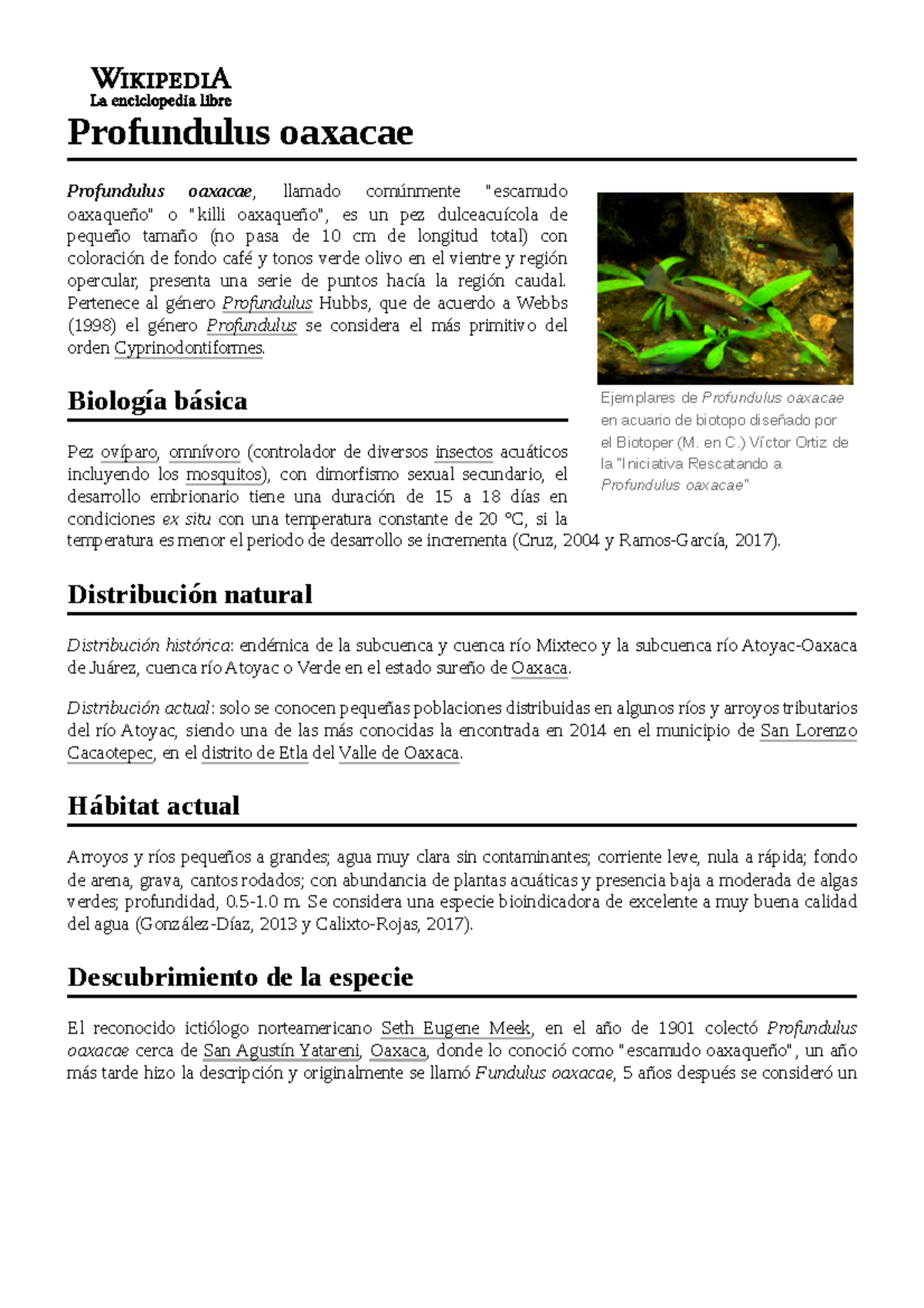 Profundulus oaxacae - derecho humano - Ejemplares de Profundulus ...