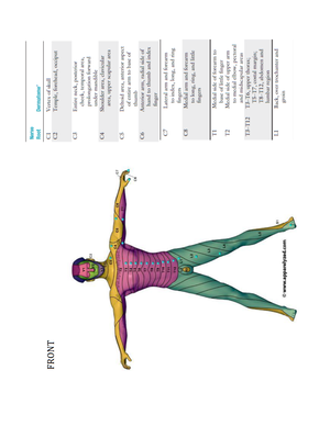 Lab Practical #1 Study Guide - Lecture Practical #1 Study Guide Anatomy ...