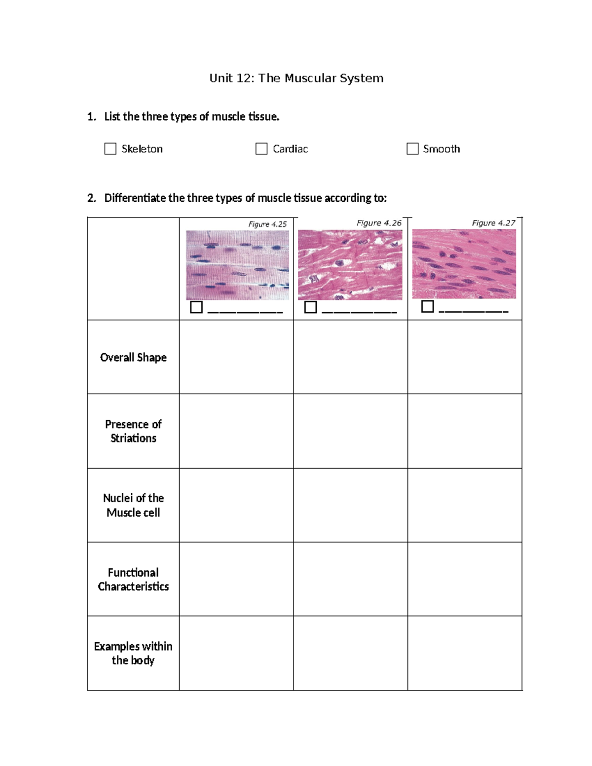 Muscular system - Anatomy notes - Unit 12: The Muscular System 1. List ...
