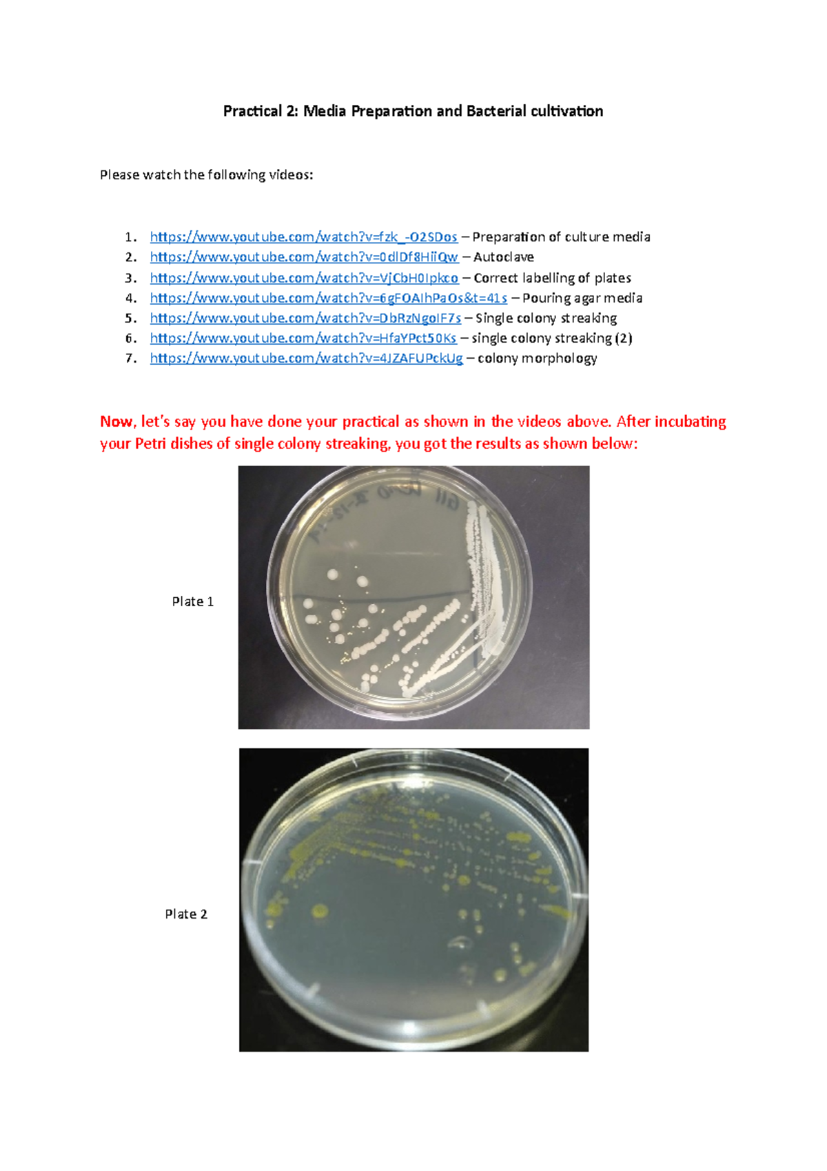 MIC456 Practical 2 lab manual and questions - Practical 2: Media ...