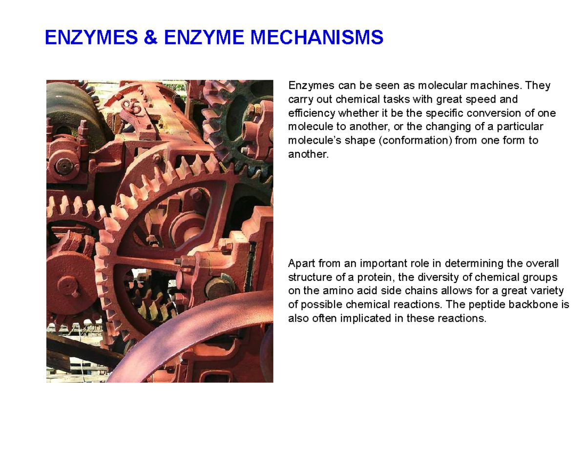 Biochem 271Lecture 8 Enzymes 6dc6e1819224 dafb88e48cdd1f91ac55 ...