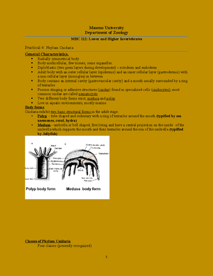MBC 112 Practical 3 - Phylum Porifera - Department of Zoology MBC 112 ...