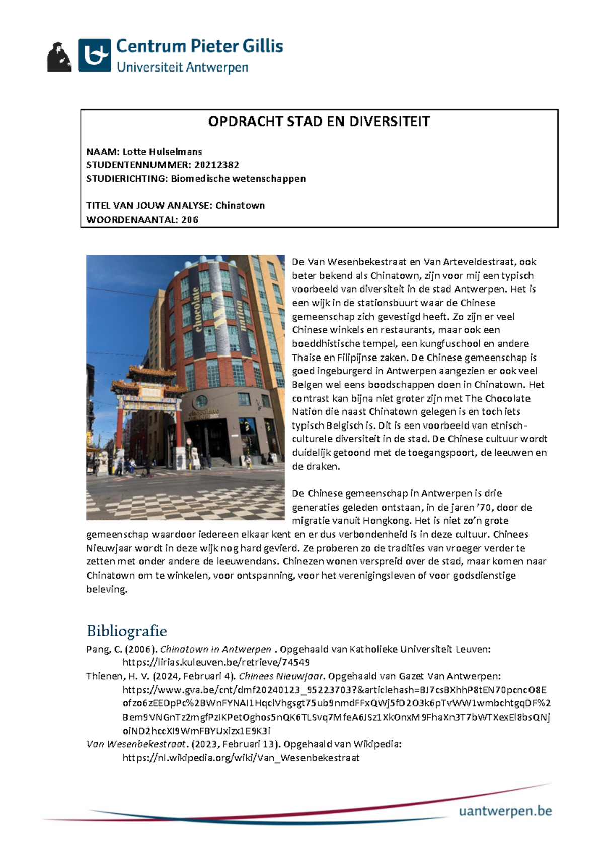 Taak diversiteit in de stad - Het is een wijk in de stationsbuurt waar de Chinese gemeenschap ...