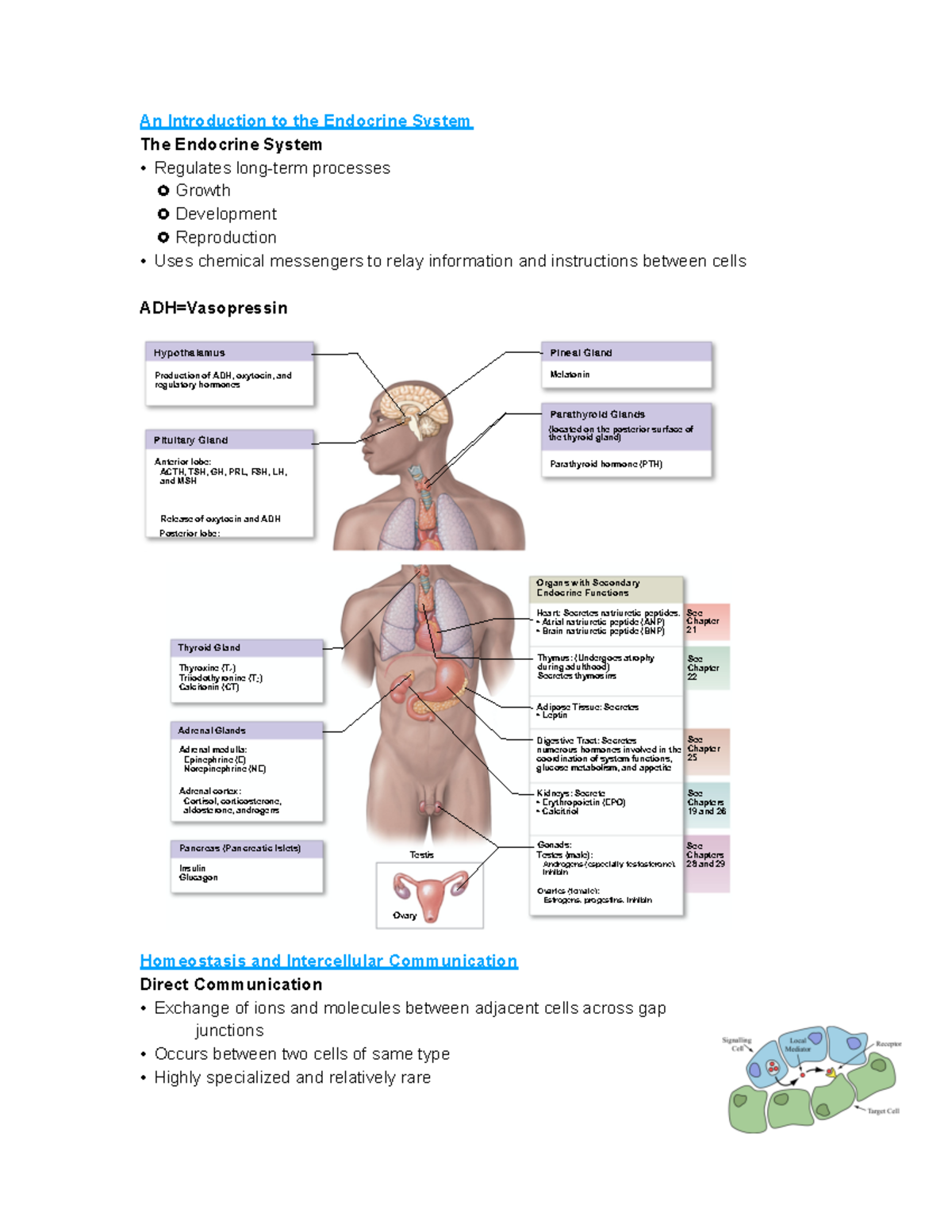 Endocrinology Unite - An Introduction to the Endocrine System The ...
