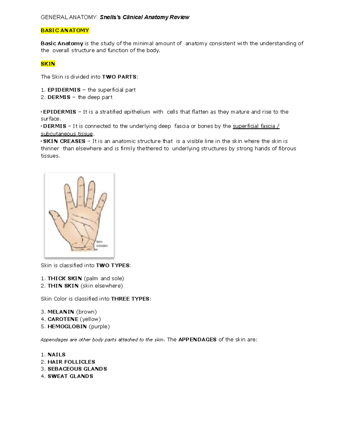 Basic- Anatomy- Reviewer - GENERAL ANATOMY: Snells’s Clinical Anatomy ...