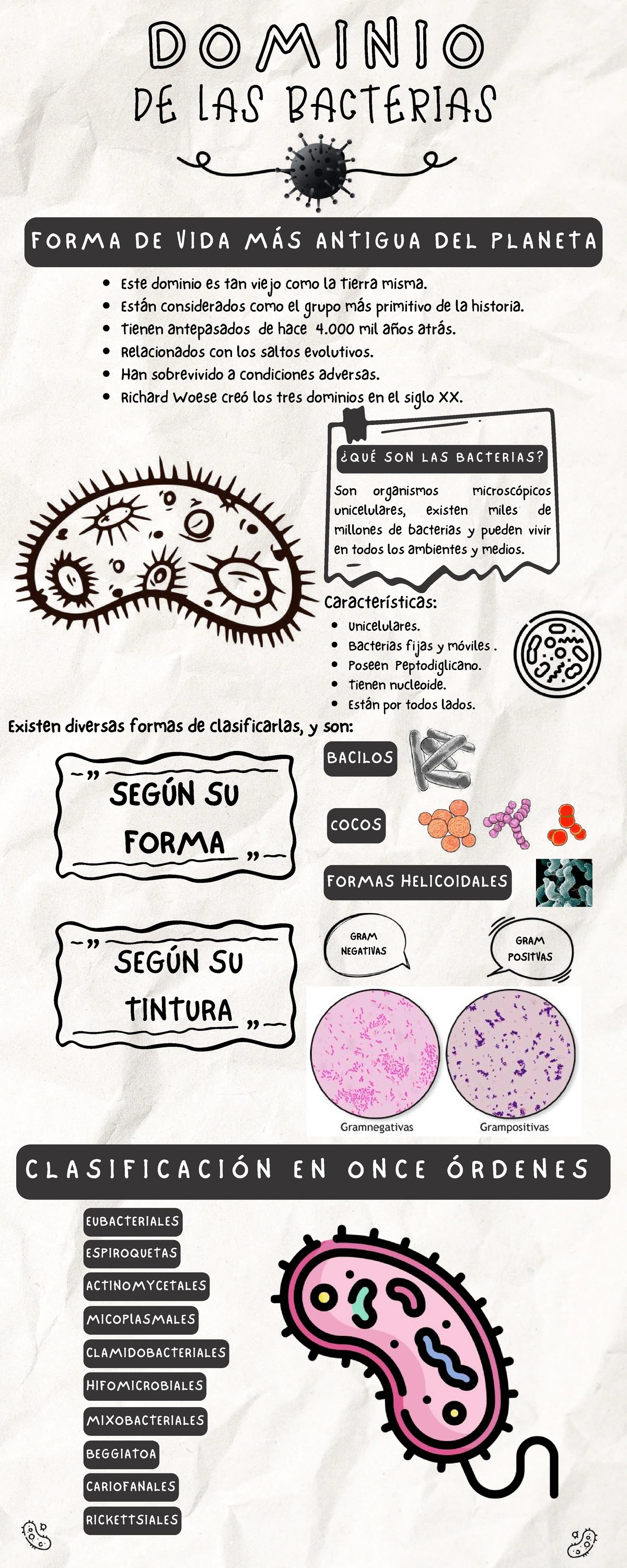 Dispositivos de protección respiratoria y ocular - Dispositivos de protección respiratoria Las ...
