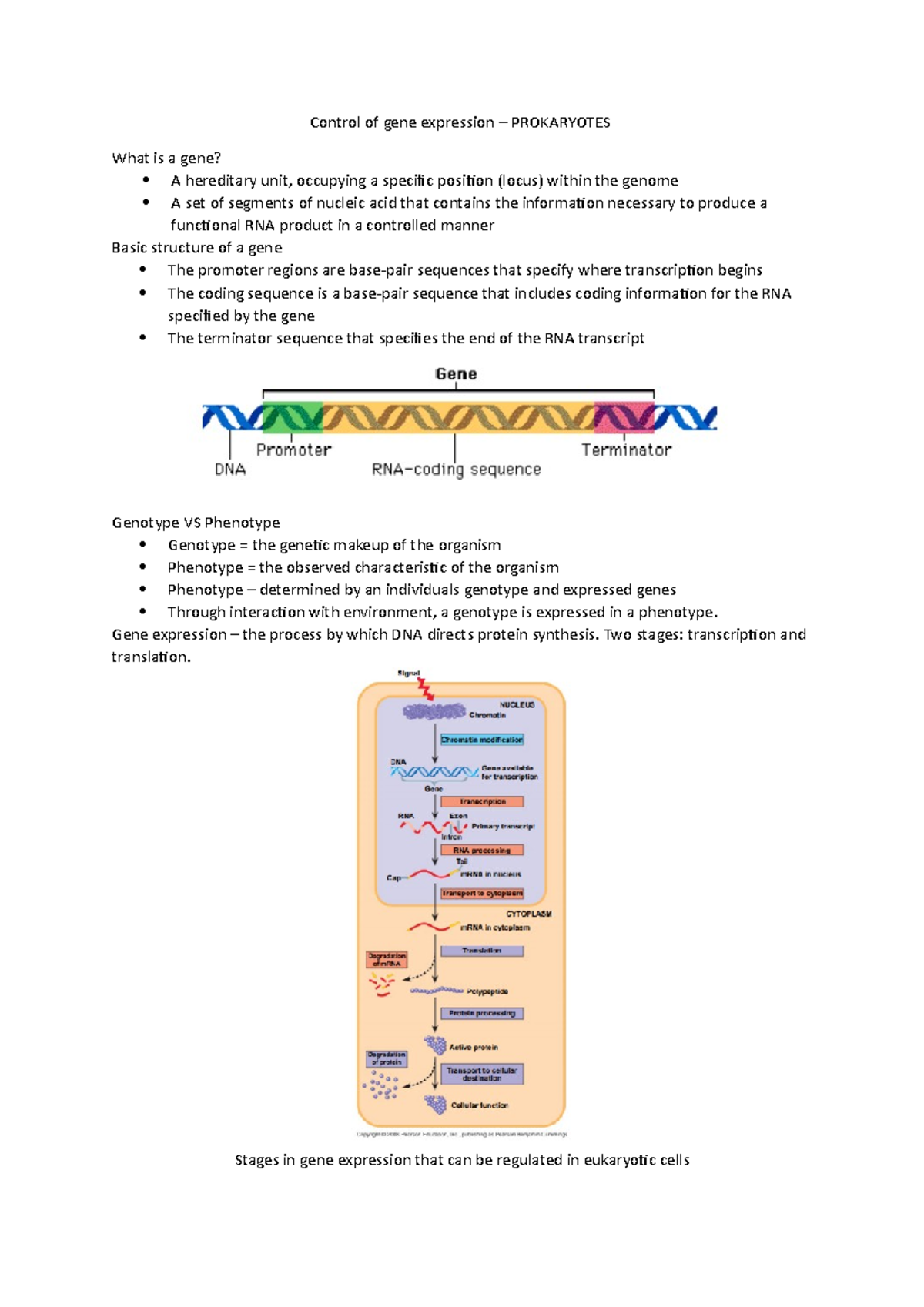 Control of gene expresion - Prokaryote - Control of gene expression ...