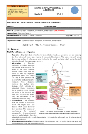 Teaching Guide Catchup Science Values Grade 7 - CATCH-UP FRIDAYS TEACHING GUIDE I. General ...