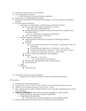 Neuroanatomy - Taught by Joshua Peck - neuraxis line: starts in the ...