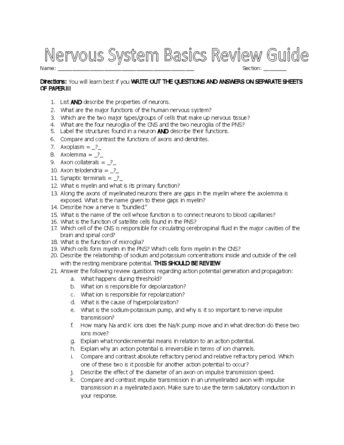 8 Nervous System Basics Review Guidemw - Name