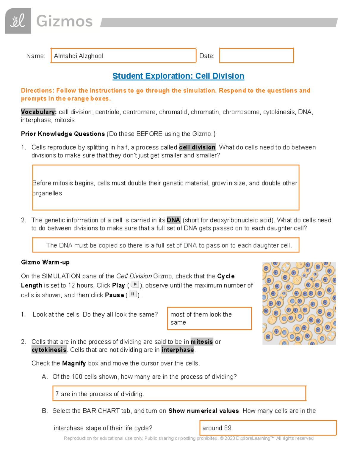 Copy of Cell Division SE for students - Name: Almahdi Alzghool Date ...