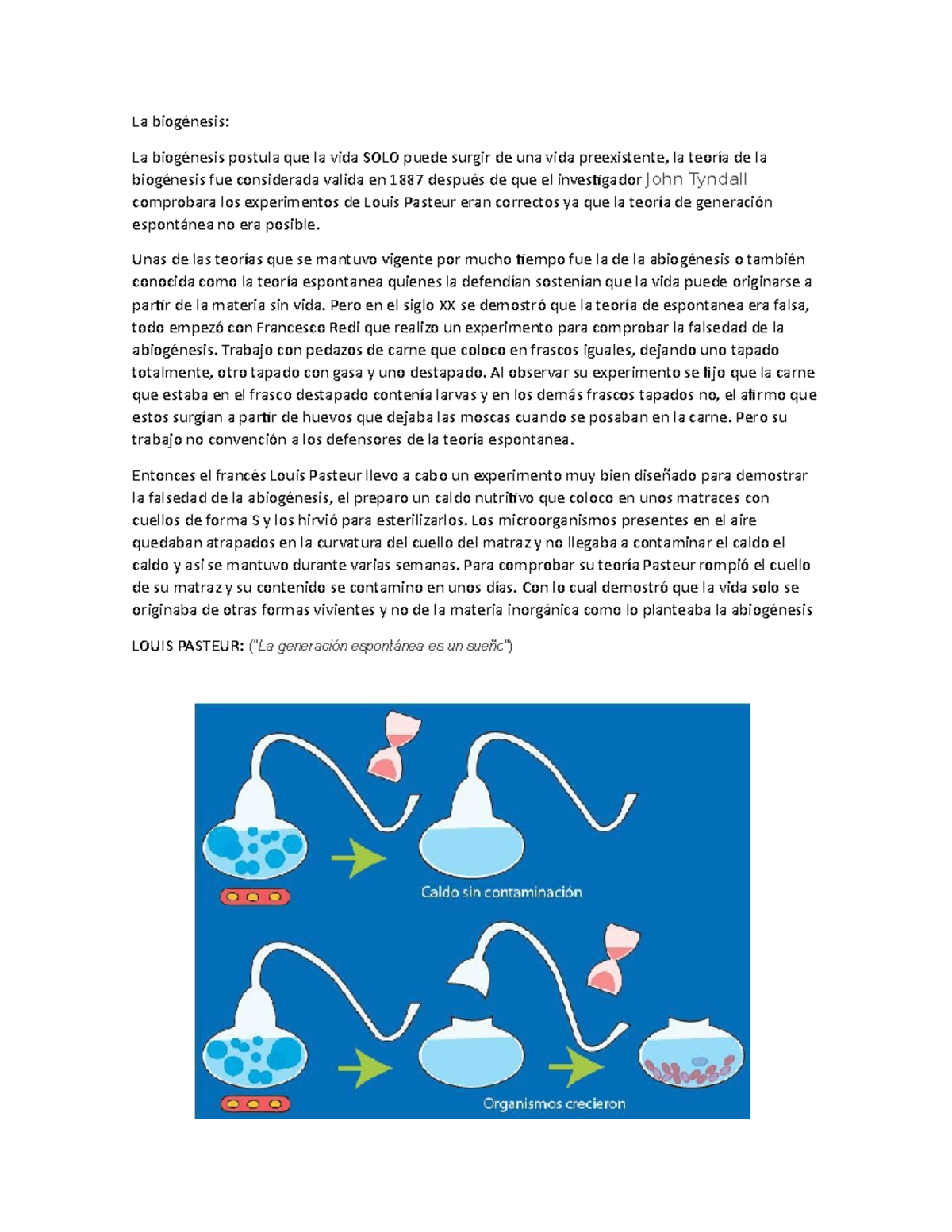 La biogénesis - resumen - La biogénesis: La biogénesis postula que la ...