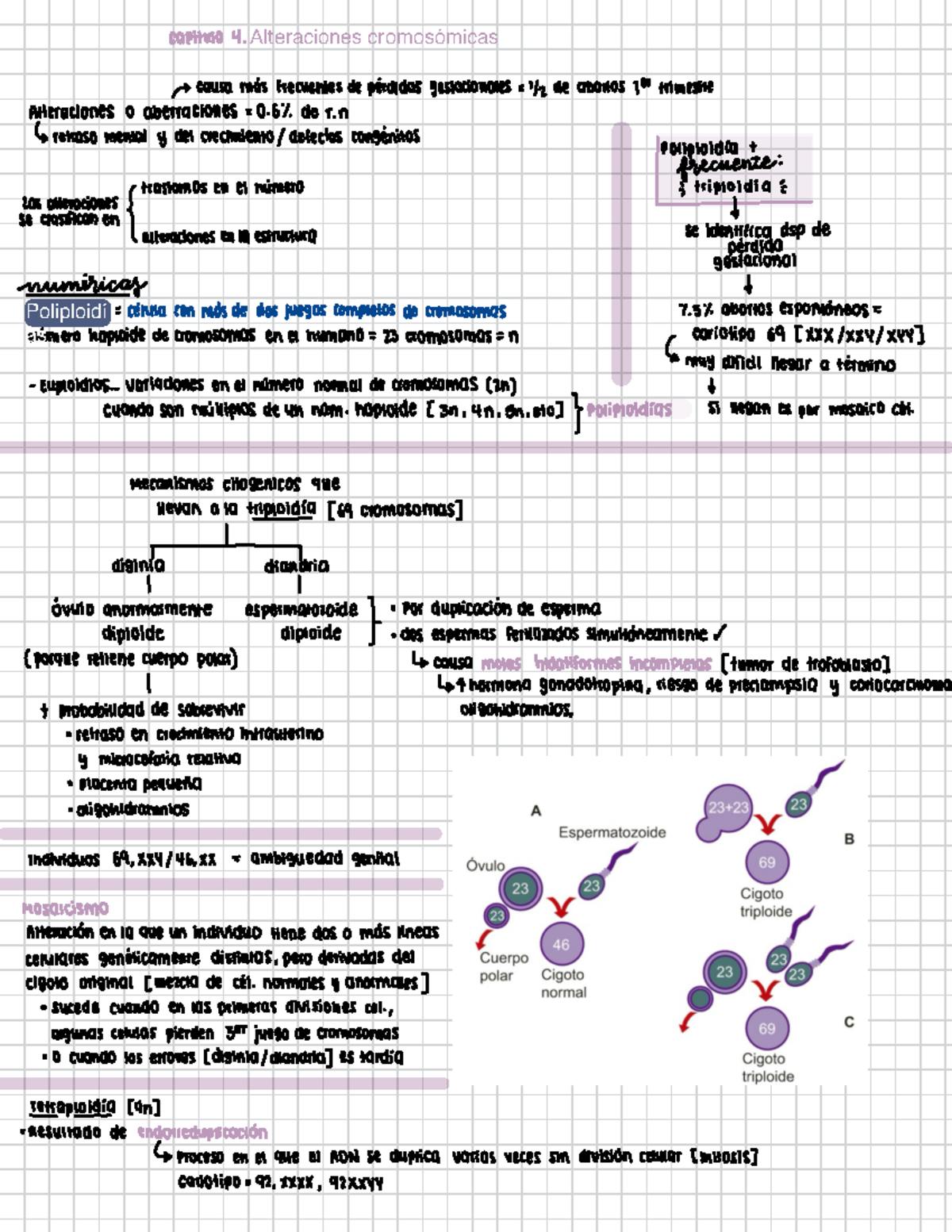 Cap 4 genetica - Alteraciones cromosómicas - Alteraciones cromosómicas ...