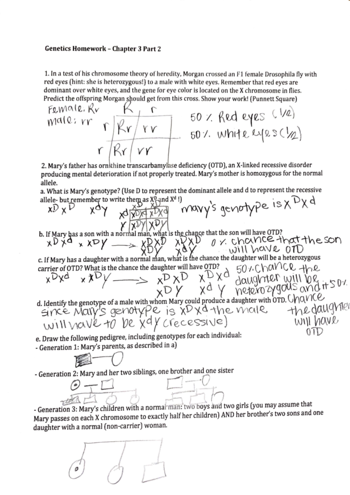 Biol 310 chapter 3 part 2 - Genetics Homework - d1apter 3 Part 2 In a ...