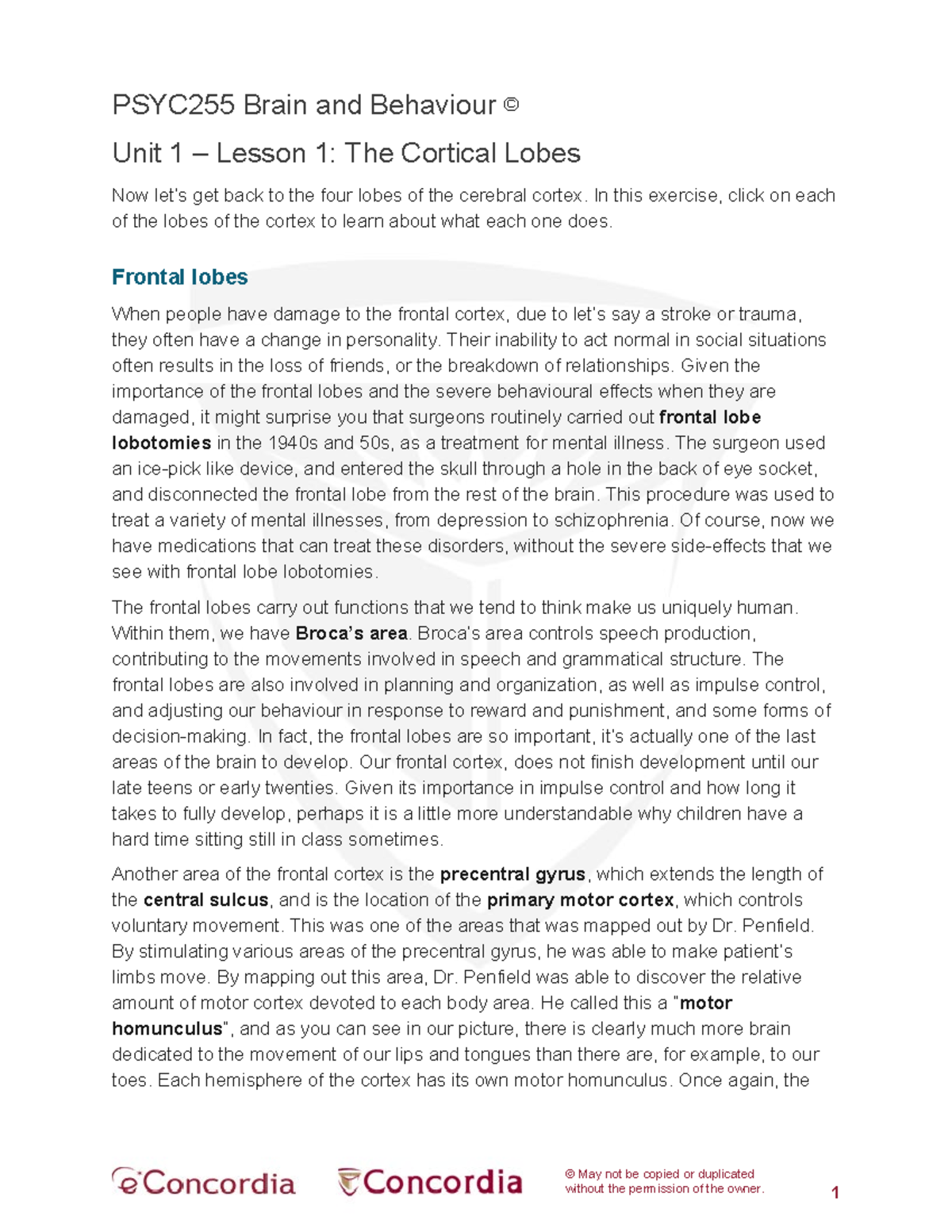 Unit 1 Lesson 1 Activity - 1 © May not be copied or duplicated without the permission of the ...