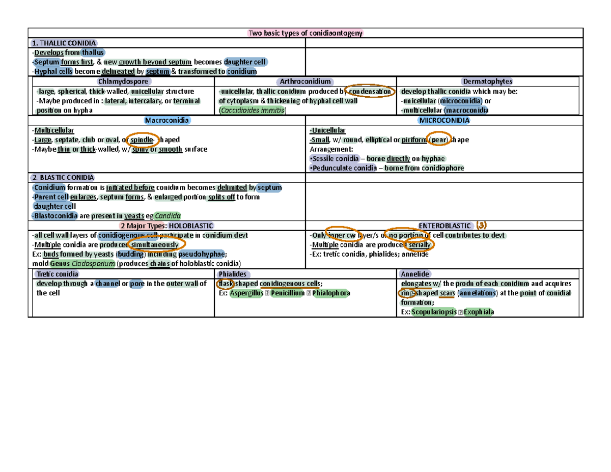 Intro Medical Mycology Part 6 - Two basic types of conidiaontogeny ...