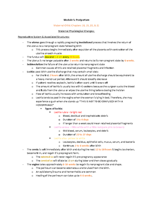 GTPAL Practice Questions - Gravida, Para, GTPAL Practice Gravida = # of ...