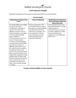 CJ-205 Project Two Press Release - CJ-205: Policing in the United ...