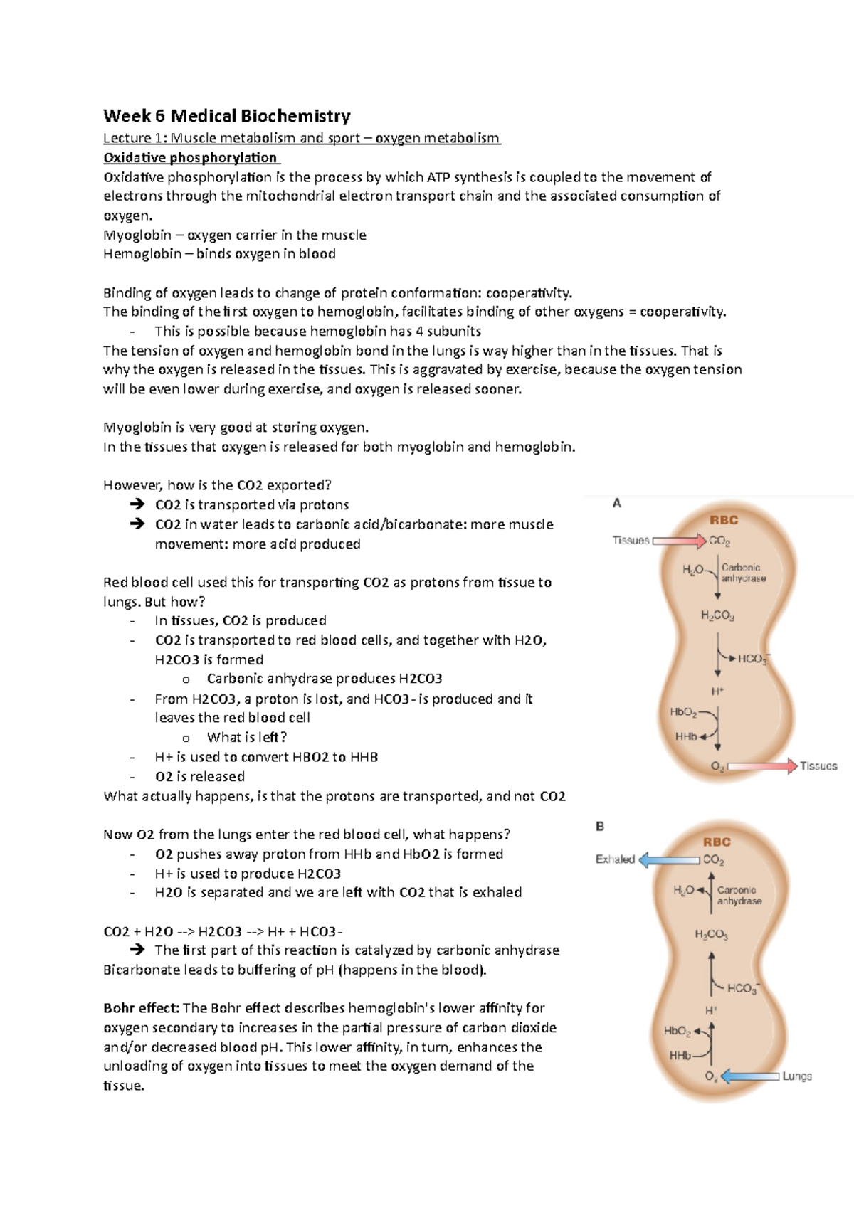 Week 6 Medical Biochemistry - Week 6 Medical Biochemistry Lecture 1 ...