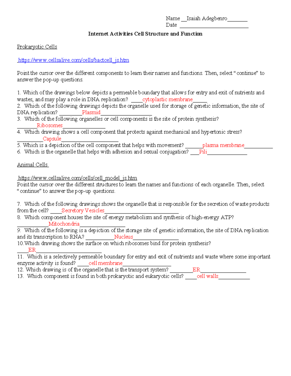 Cell internet and function - Internet Activities Cell Structure and ...