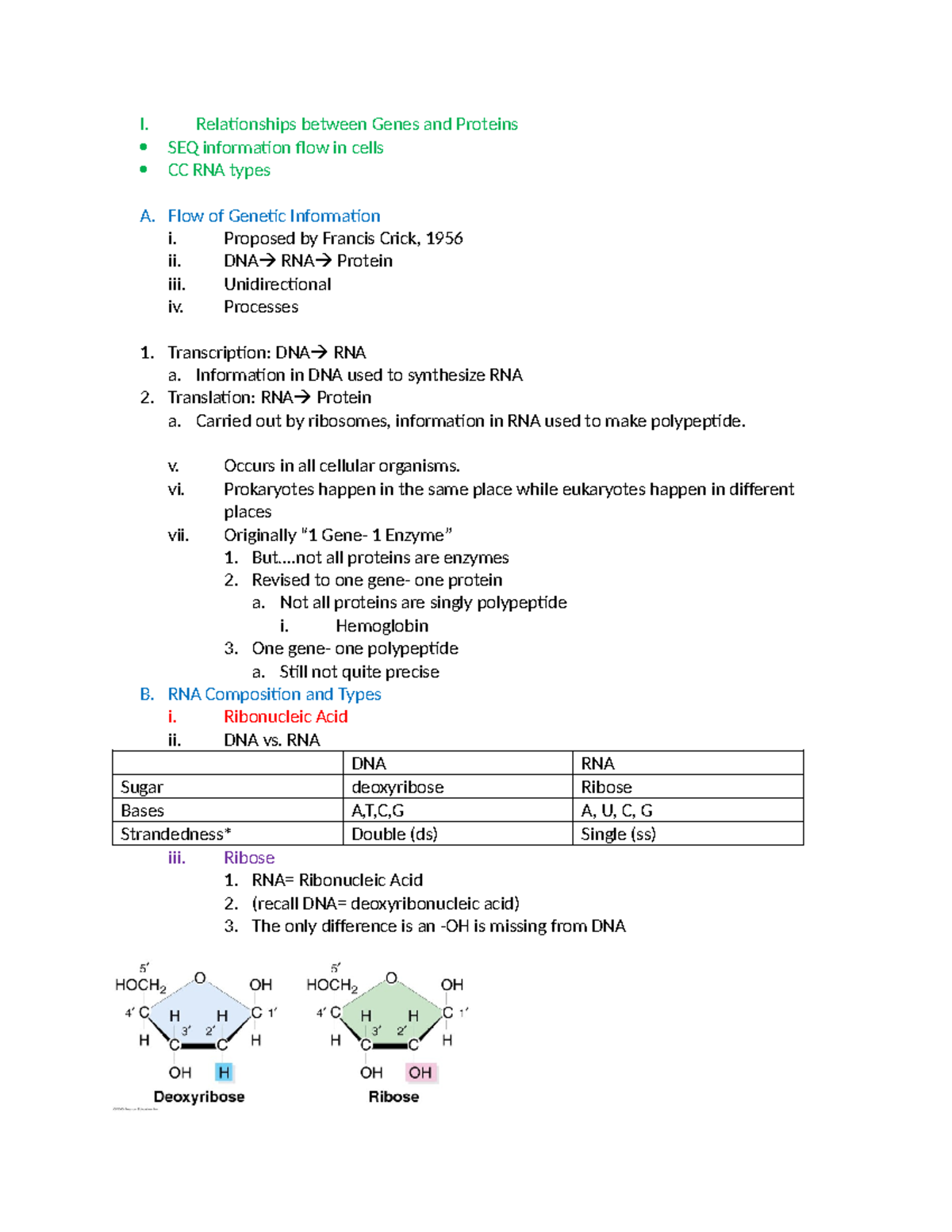 Dna transcription - I. Relationships between Genes and Proteins SEQ ...