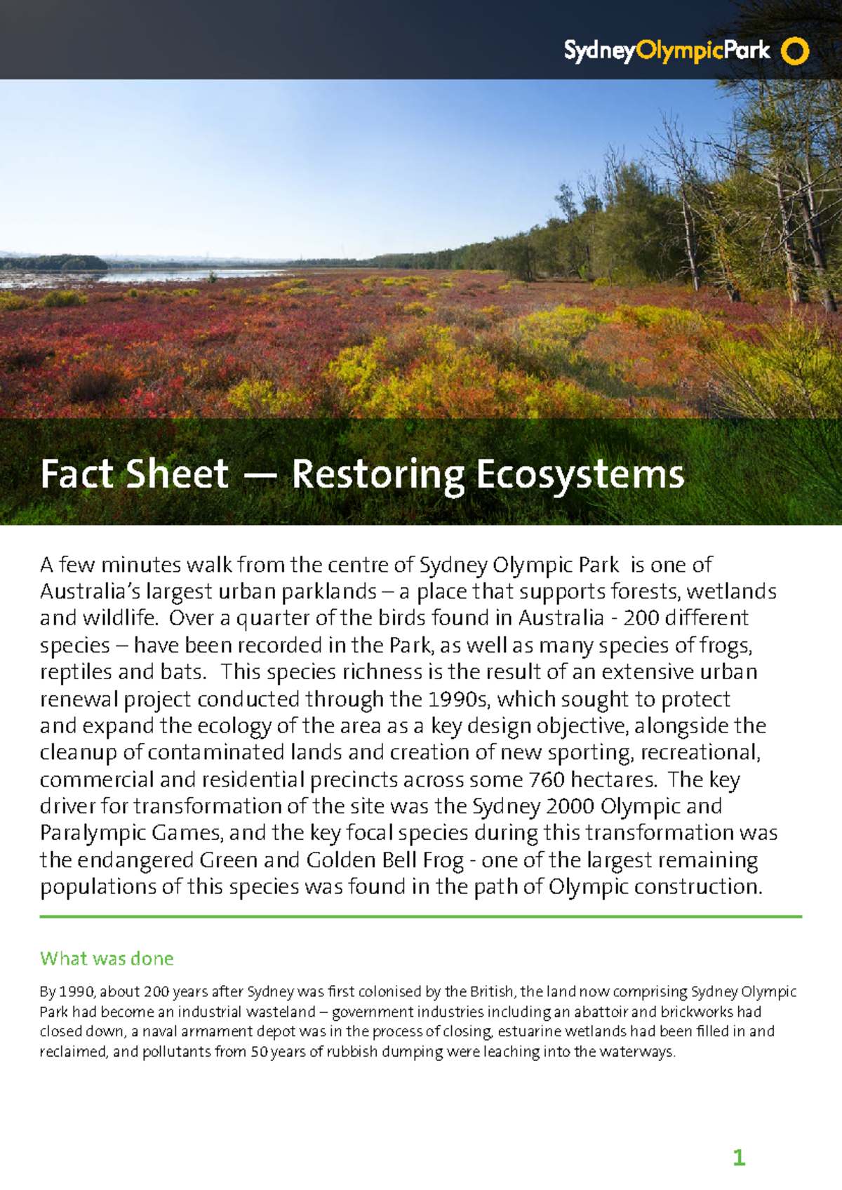 EXAMdwdwadwadddddddddddddd - 1 Fact Sheet — Restoring Ecosystems A few ...