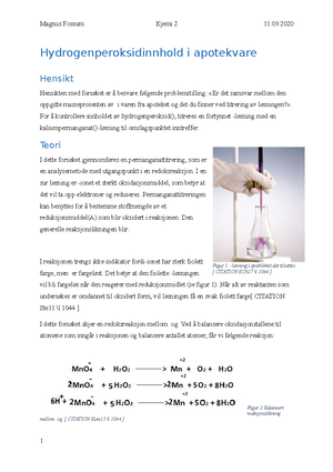 Rapport 7 - Kjemi 1 Rapport 7 – Salters løselighet og bruk av ...