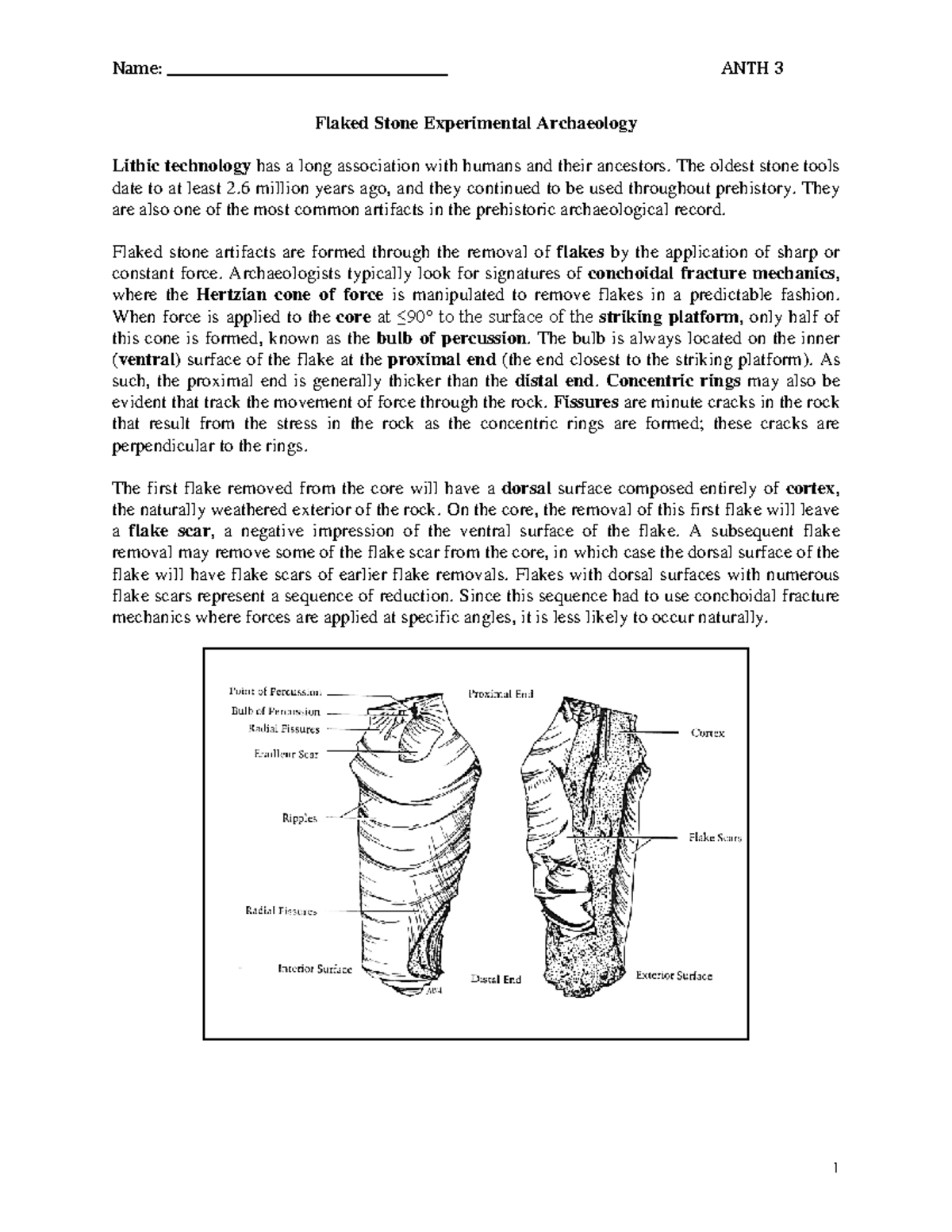 Exercise 3 Flake Stone Morphology - Name: ANTH 3 1 Flaked Stone ...