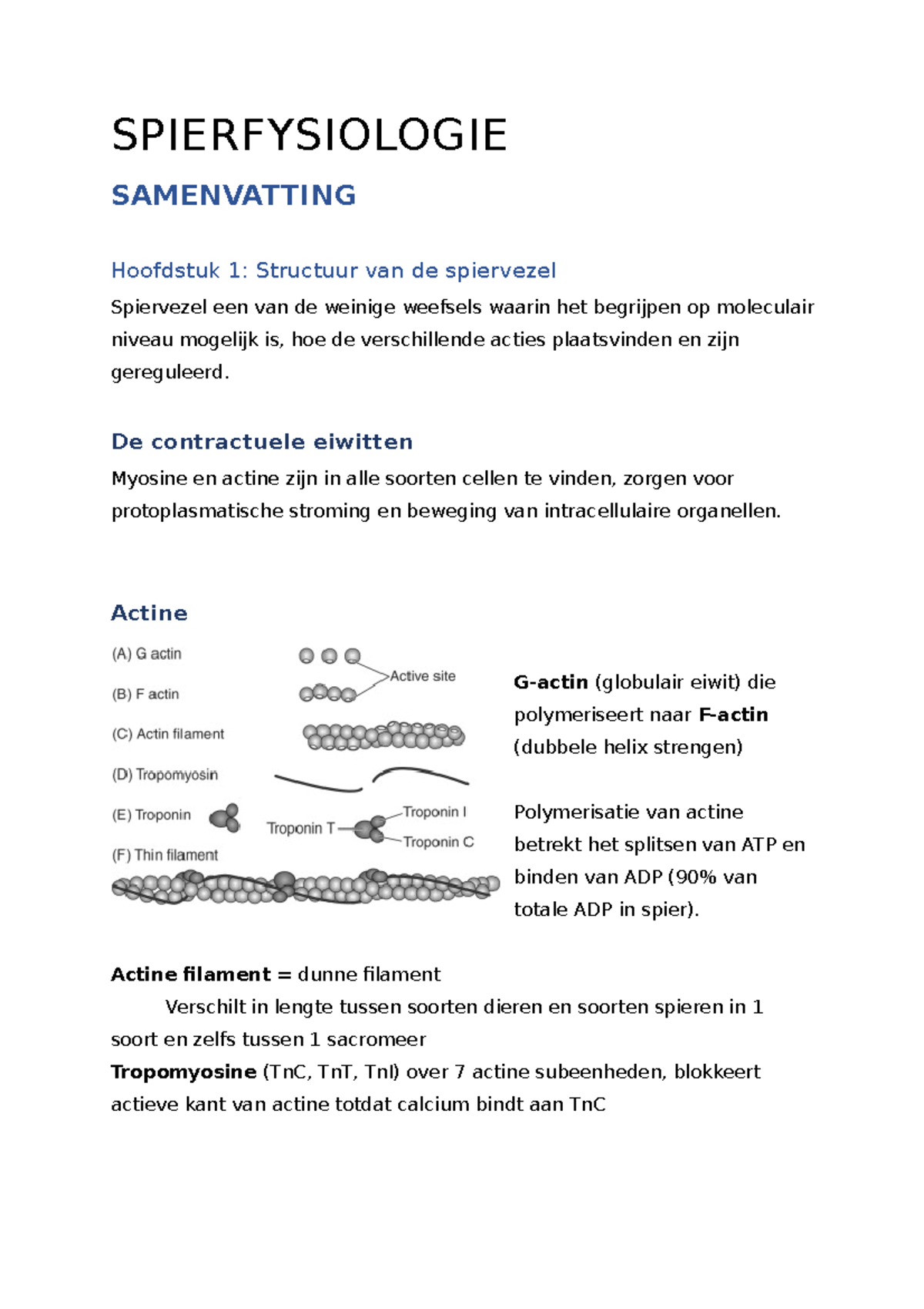 Samenvatting boek Spierfysiologie - SPIERFYSIOLOGIE Hoofdstuk 1 ...