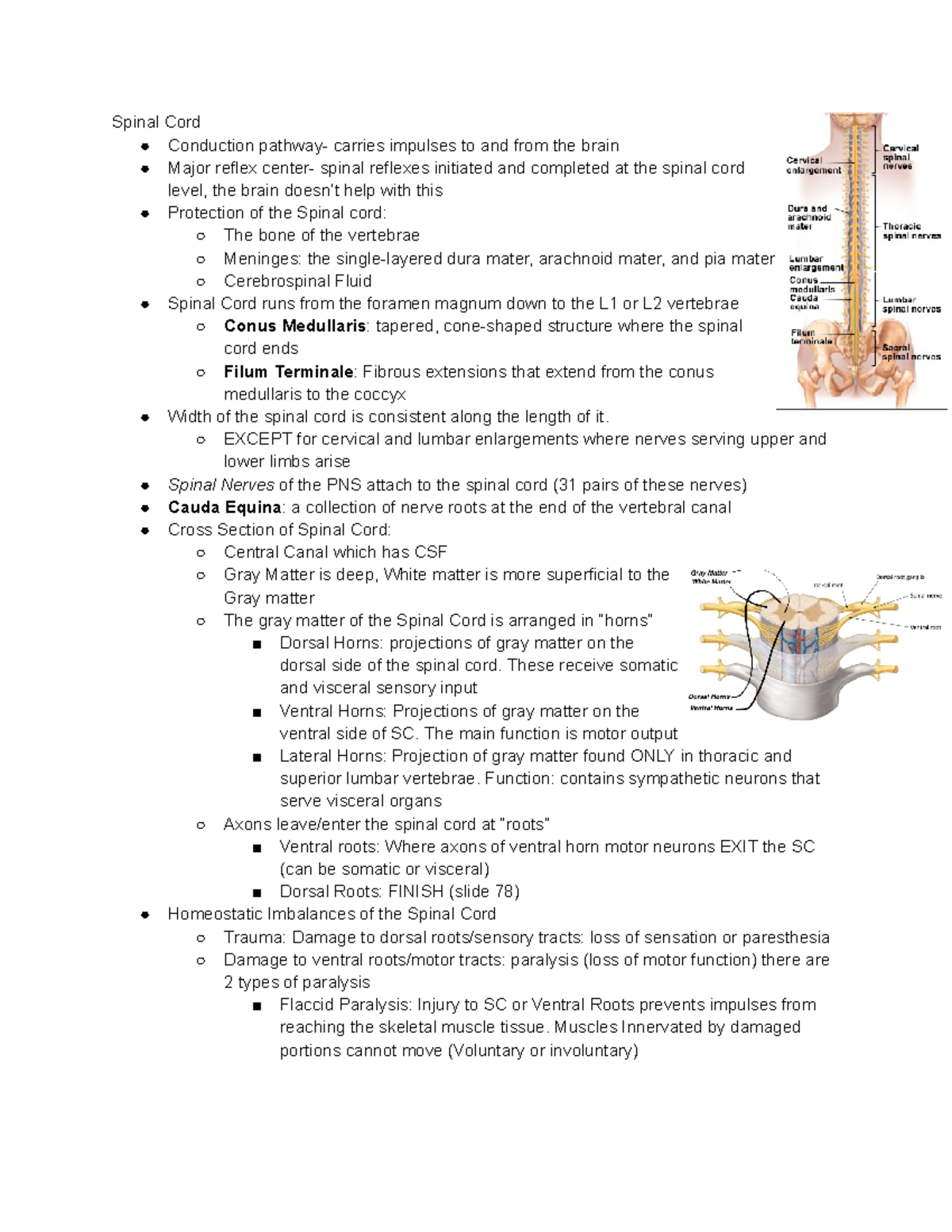 10 27 Notes - Spinal Cord Conduction pathway- carries impulses to and ...