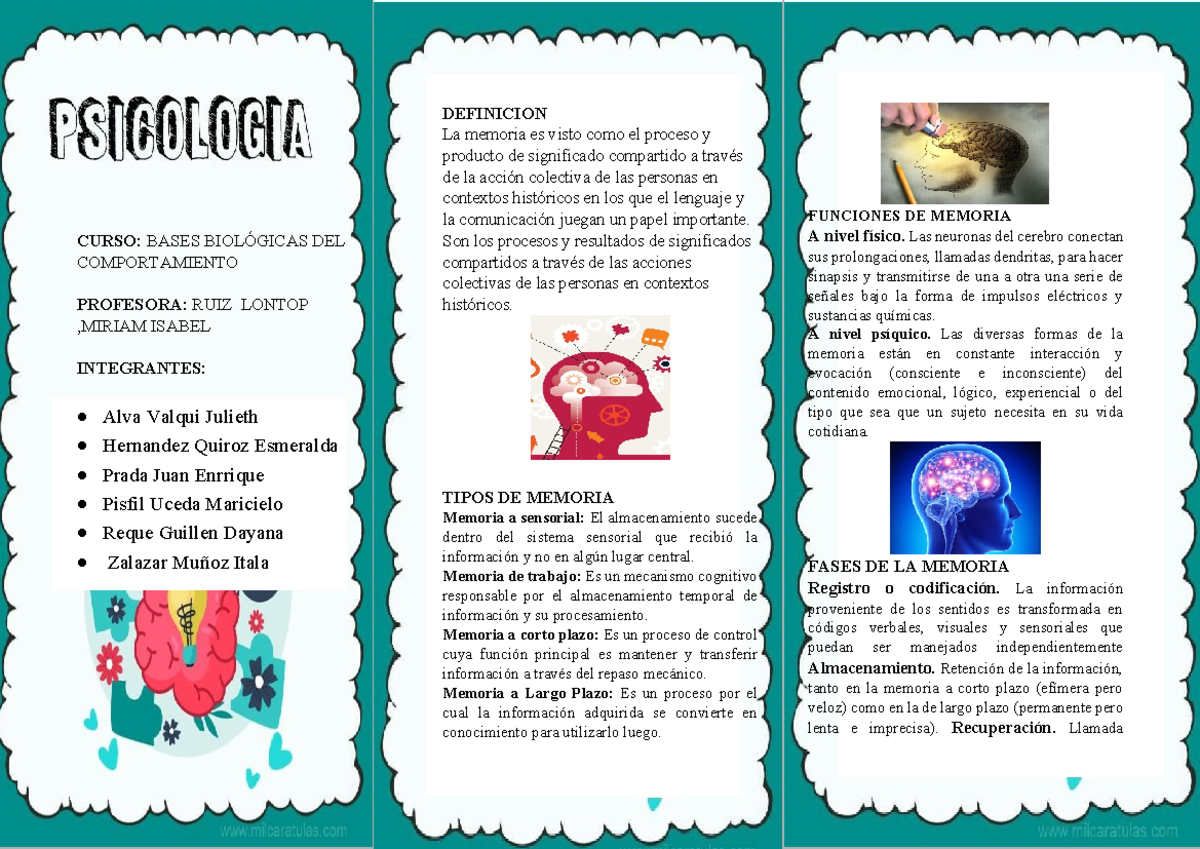 Triptico de Bases Biológicas DE LA Memoria - CURSO: BASES BIOLÓGICAS ...