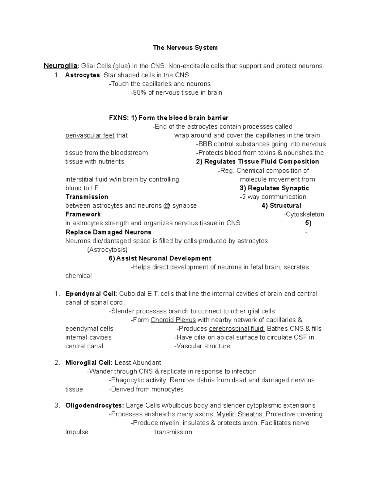 Linda's nervous study guide - The Nervous System Neuroglia: Glial Cells ...