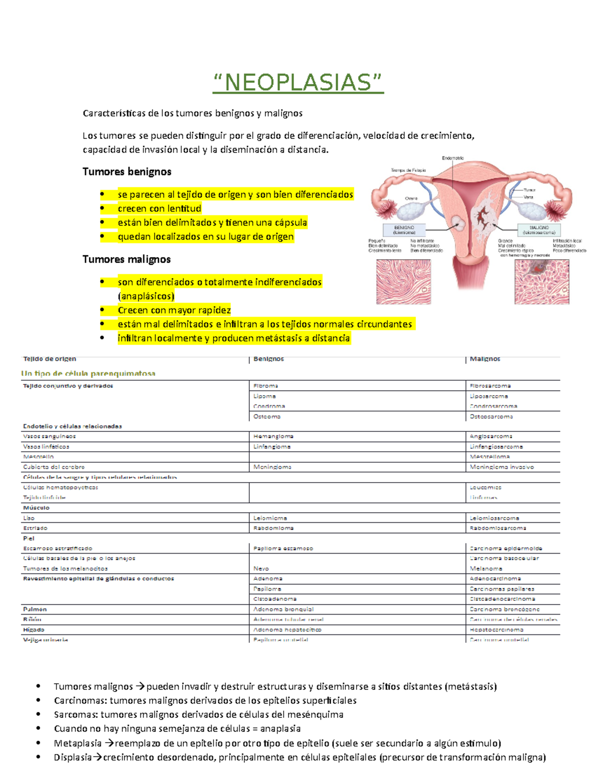 Neoplasias( Robbins) - “NEOPLASIAS” Características de los tumores ...