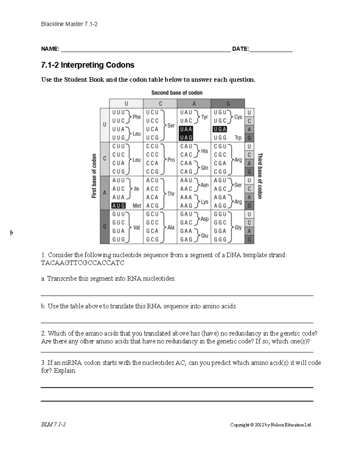 11 Interpreting codons - Blackline Master 7- BLM 7-2 Copyright © 2012 ...