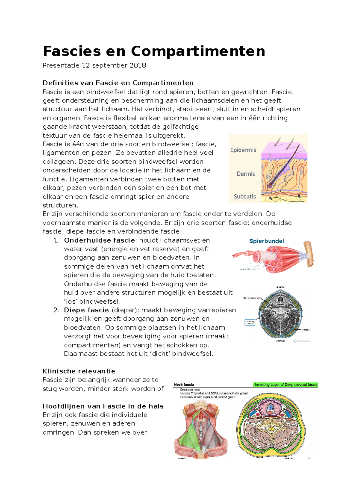 Presentatie Fascie en Compartimenten - Fascies en Compartimenten ...