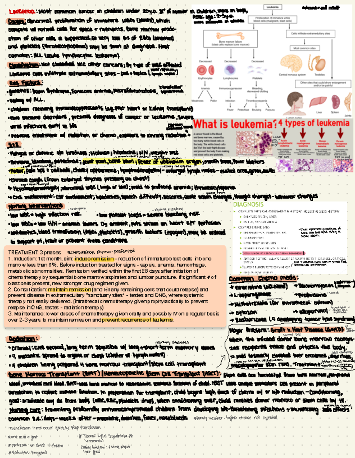 Leukemia - TREATMENT: 3 phases 1. Induction: 1st month, aim: induce ...