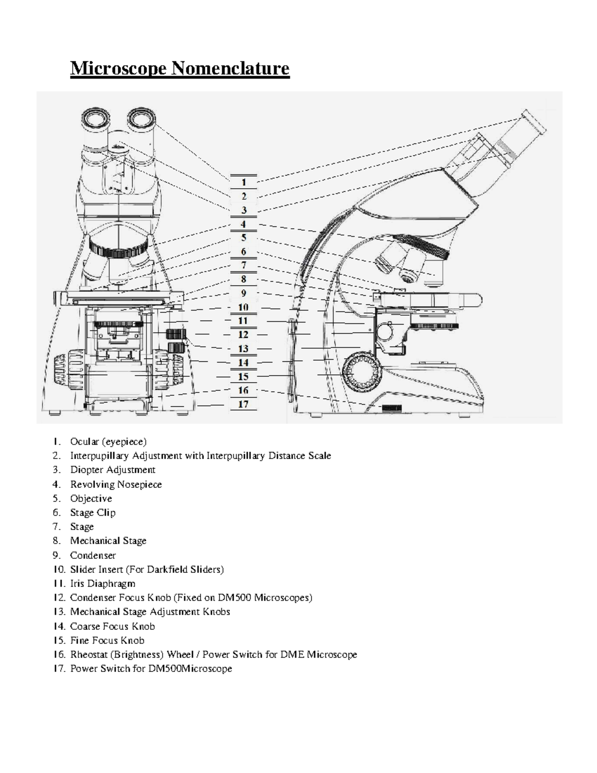 Using-a-Microscope - Microscope notes - Microscope Nomenclature Ocular ...