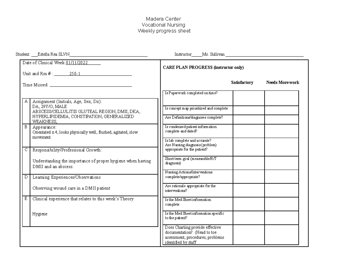 Progress sheet and care plan for dmii and skin interigty - Madera ...