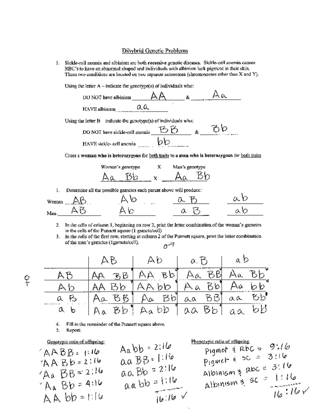 Dihybrid Cross answer sheet - BIOL 1010 - Studocu