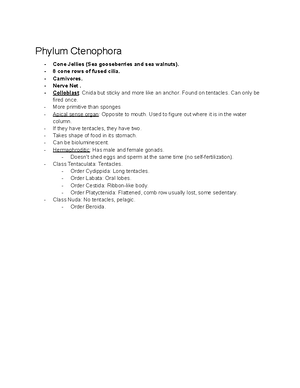 Zoology Phylum Porifera Notes - Phylum Porifera Sponges No true tissue ...