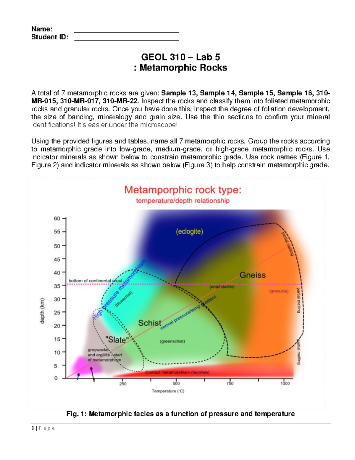 GEOL310 Lab5 Metamorphic Rocks - Name ...