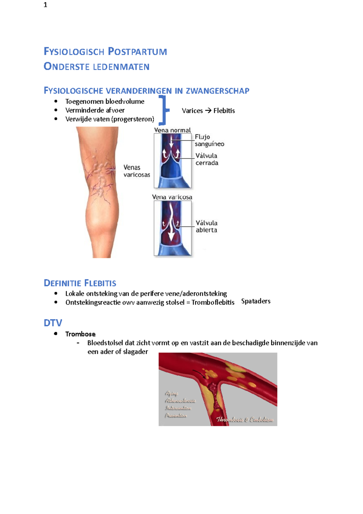 FP Onderste ledematen - FYSIOLOGISCH POSTPARTUM ONDERSTE LEDENMATEN ...