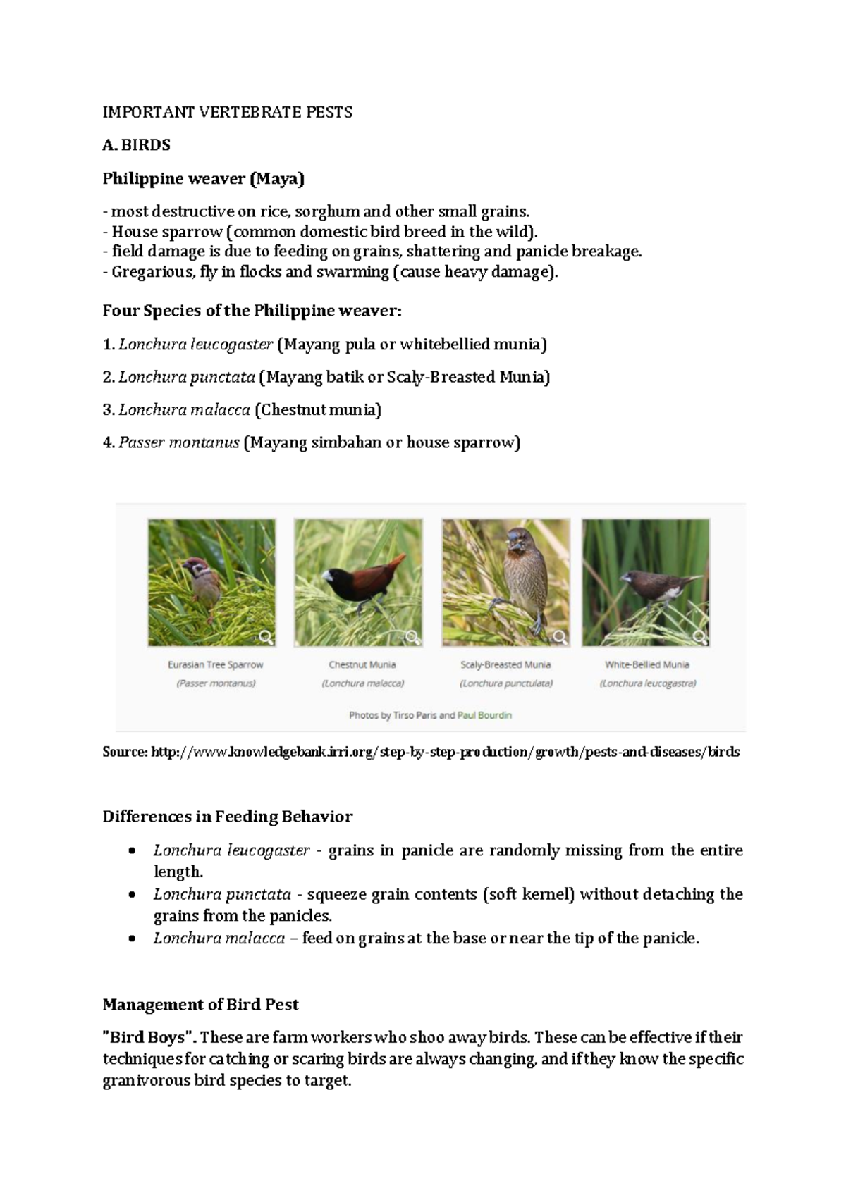 Important Vertebrate Pests - IMPORTANT VERTEBRATE PESTS A. BIRDS ...