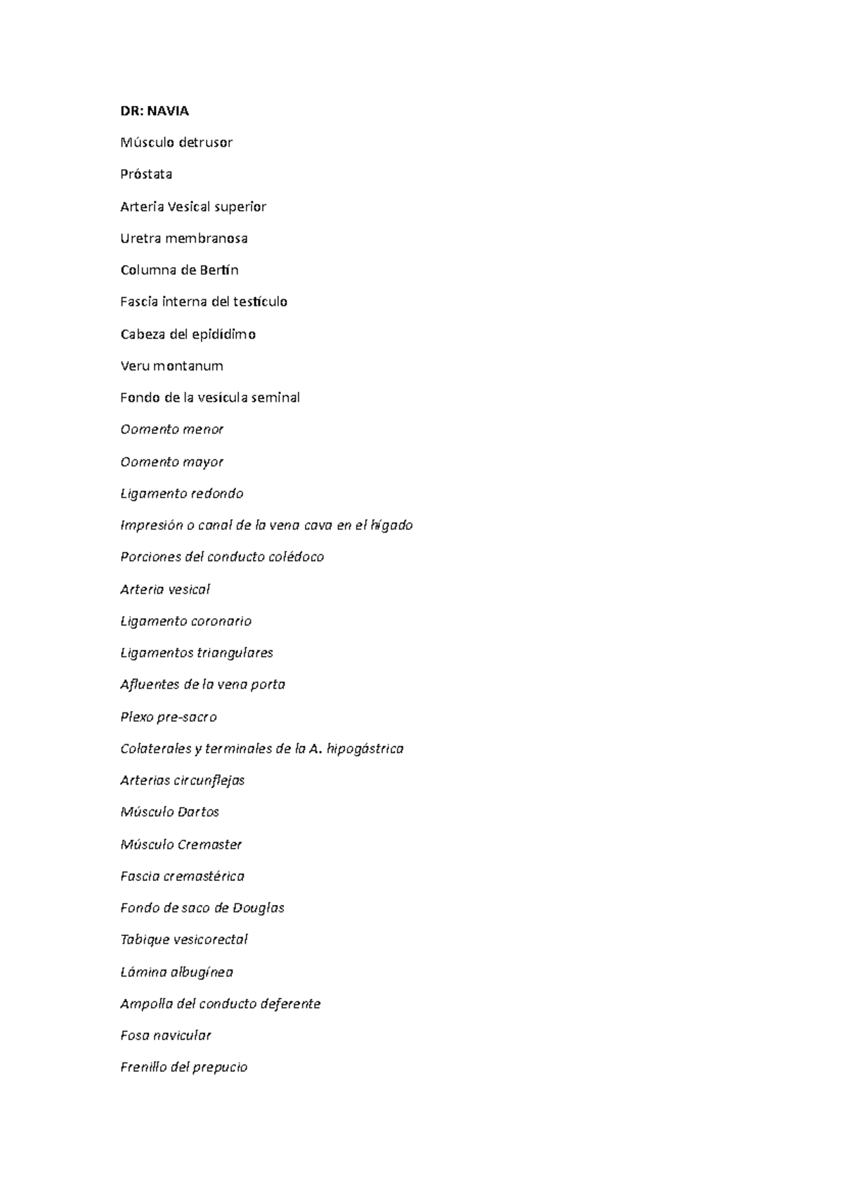 FINALES DE ANATOMÍA - DR: NAVIA Músculo detrusor Próstata Arteria ...