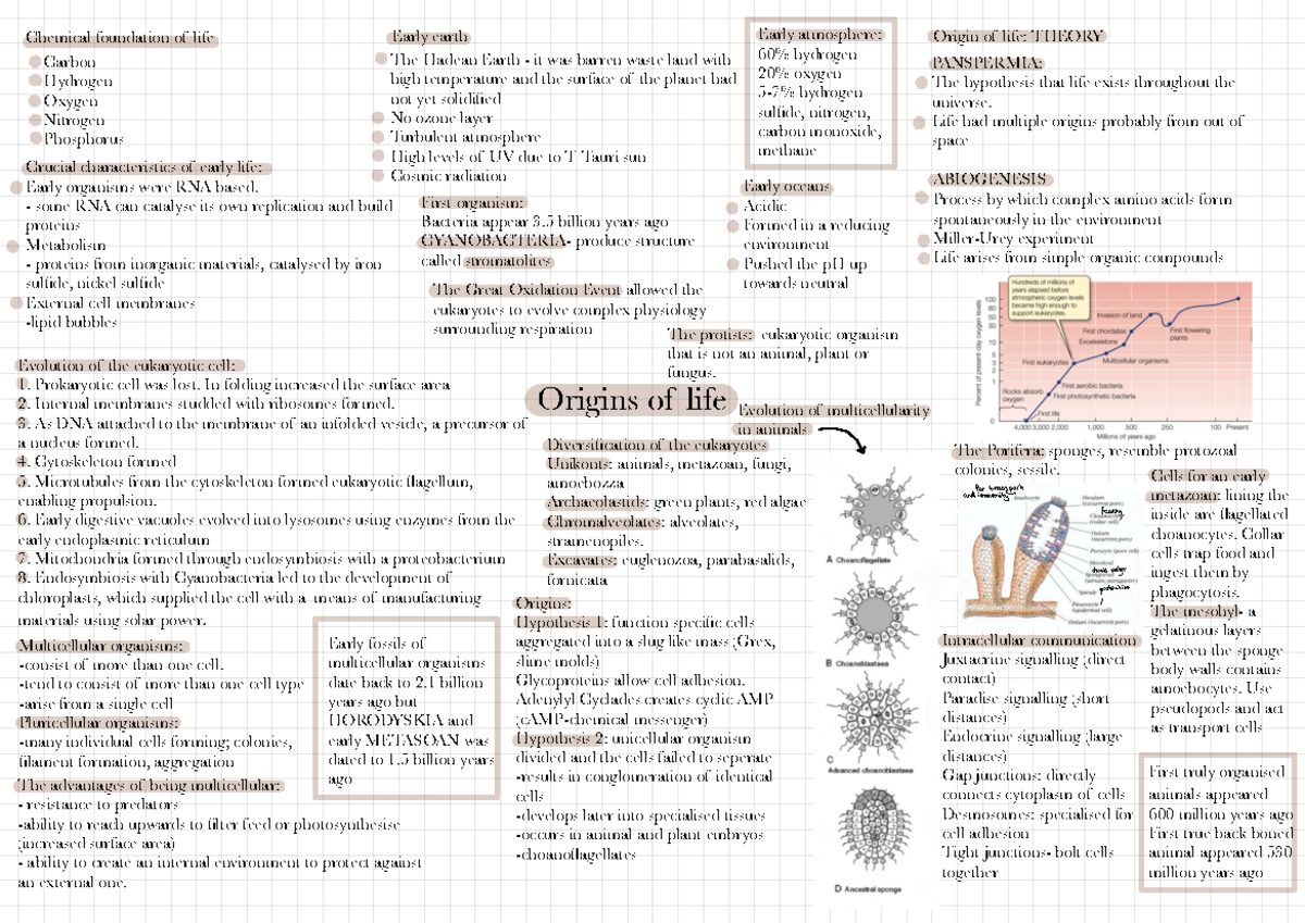 Origins Of Lifee - lecture notes - Origins of life Chemical foundation ...