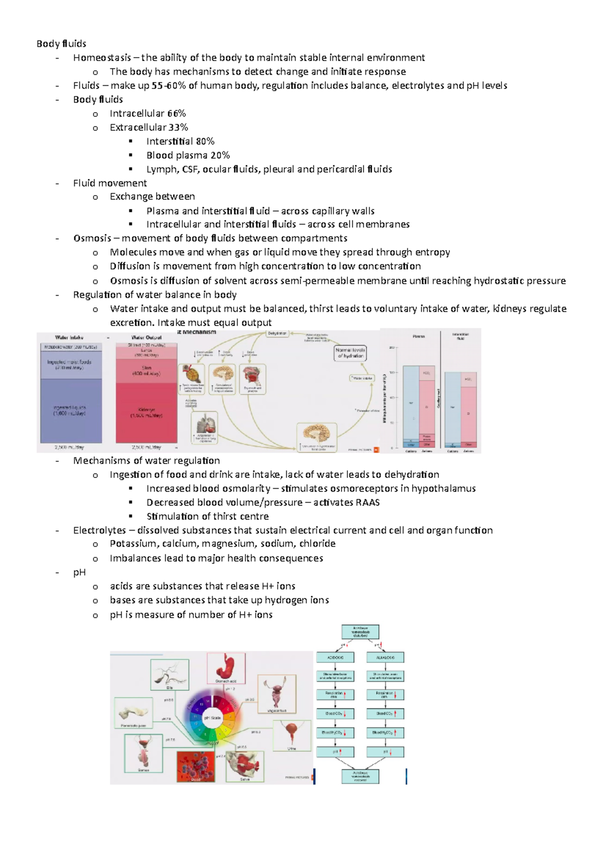 Revision CSB336 - Body fluids - Homeostasis – the ability of the body ...